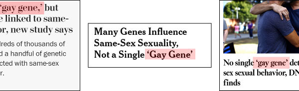 Apollo Network - News