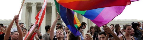 Apollo Network - News